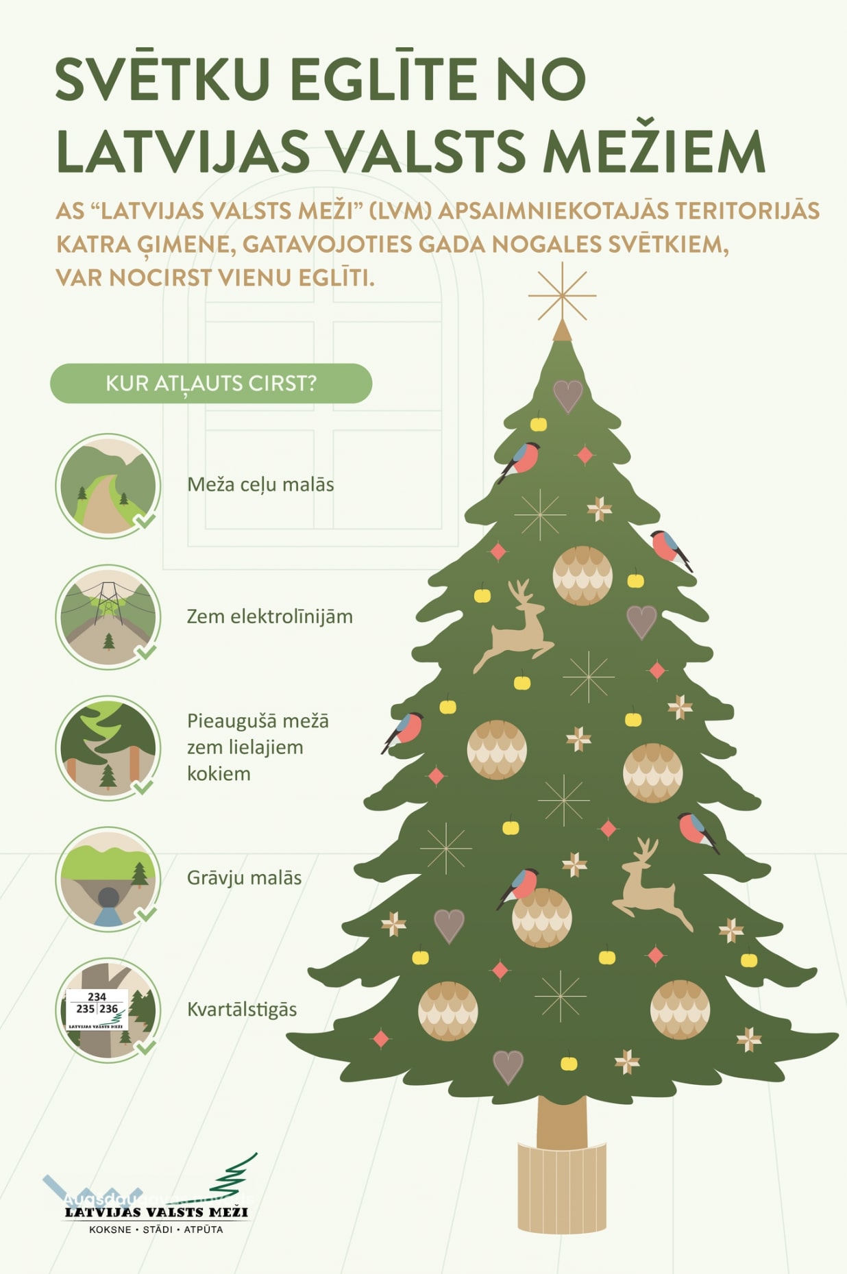 Svētku eglīte no Latvijas valsts mežiem - Ilūkste